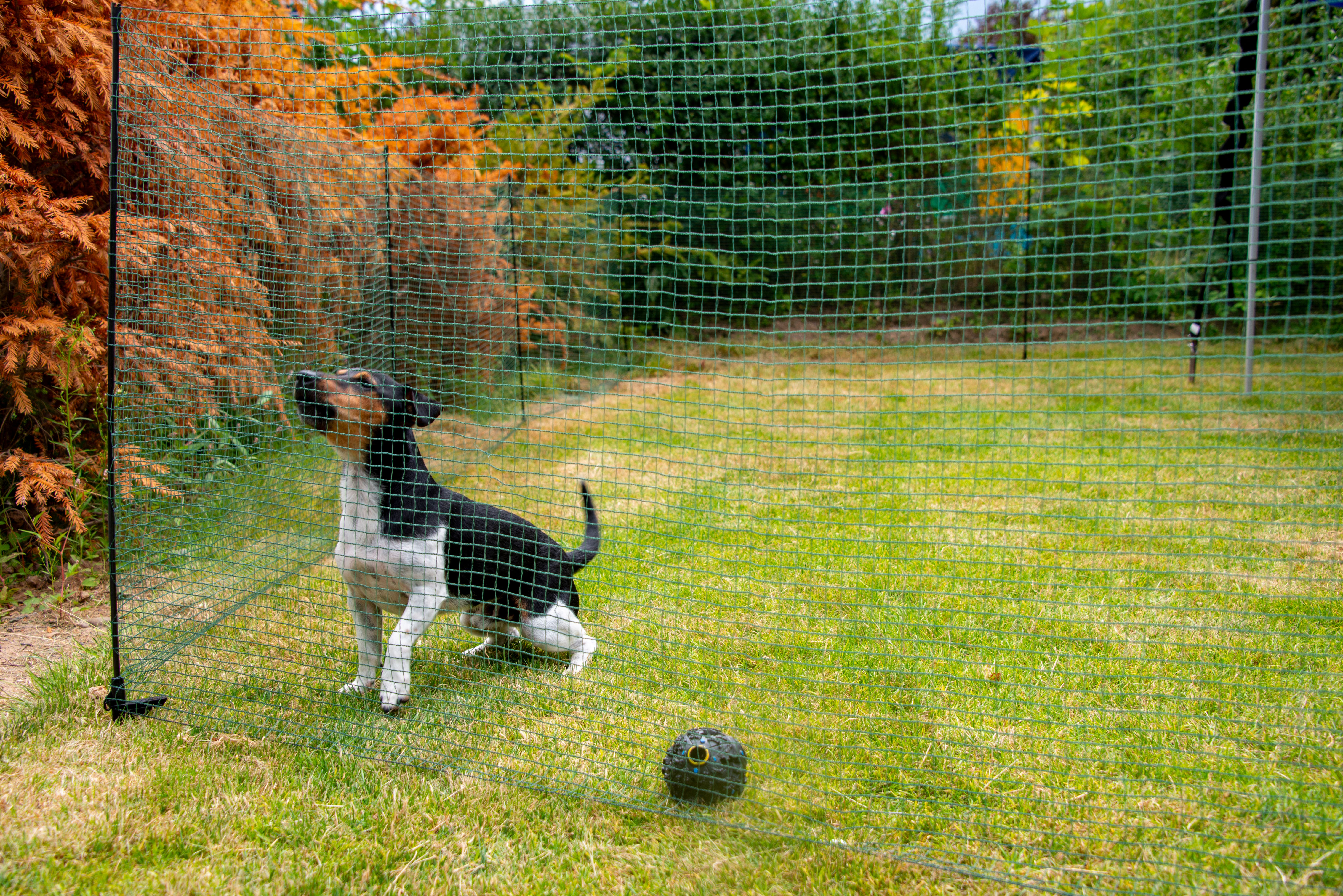 Fencing for dogs - electric of boundary fencing - for gardens, camping ...