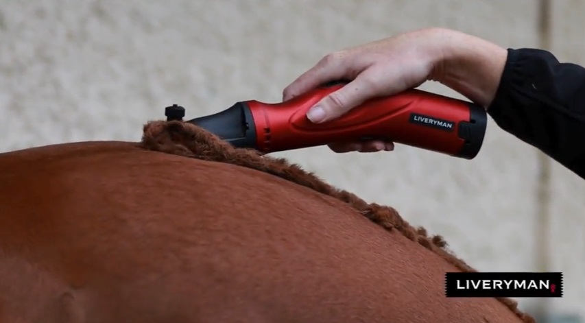The Complete Guide to Liveryman Horse Clippers: Phoenix, Black Beauty ...